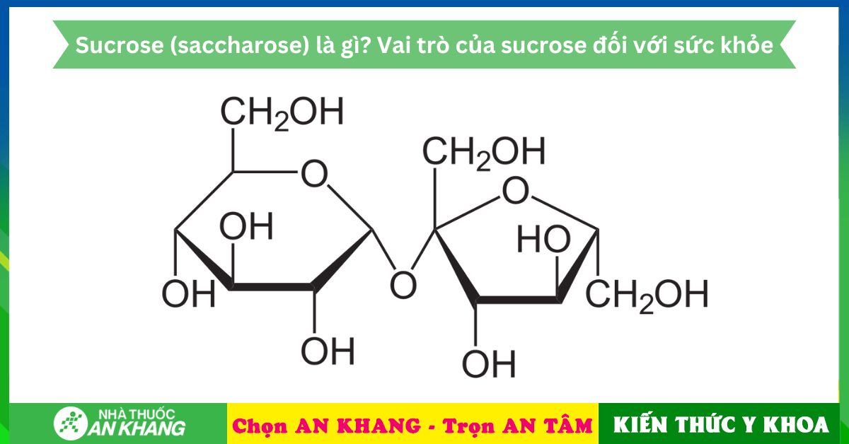 Sucrose (saccharose) là gì? Vai trò của sucrose đối với sức khỏe