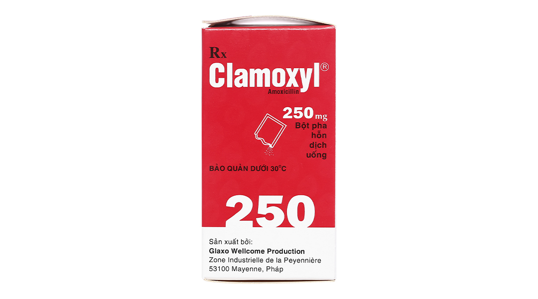 Thuốc Clamoxyl 250 trị nhiễm khuẩn hộp 12 gói - 10/2025 ...