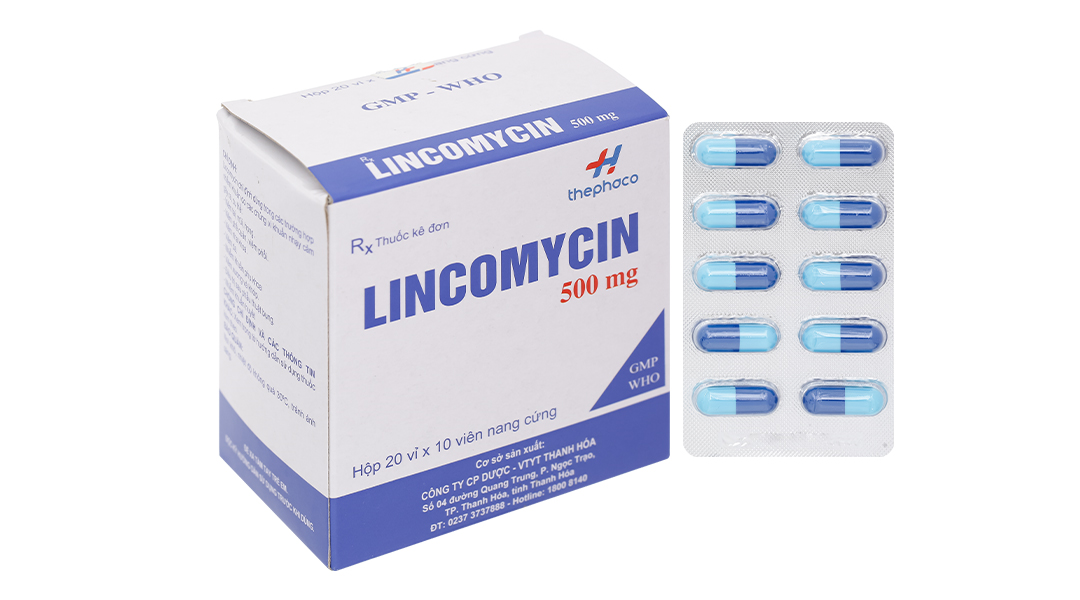 Lincomycin Thephaco 500mg trị nhiễm khuẩn (20 vỉ x 10 viên) - 02/2026 ...