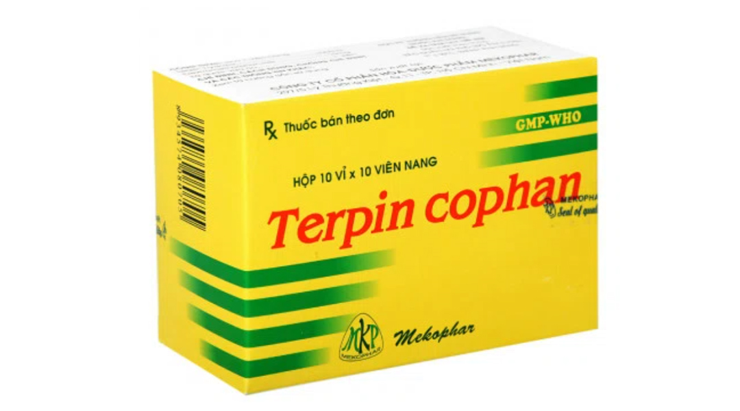 Terpin Cophan giảm ho, long đàm (10 vỉ x 10 viên) - 12/2025 ...