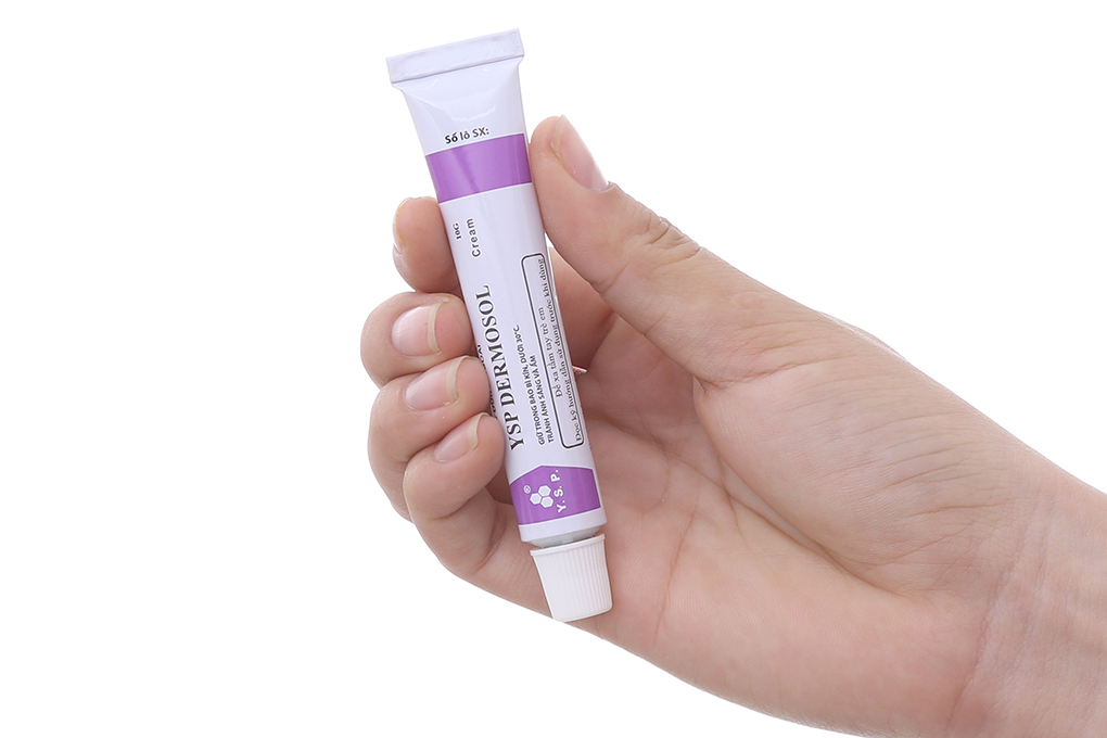 Kem bôi Ysp Dermosol Cream trị viêm da tuýp 10g - 08/2025 ...