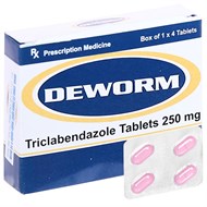 Thuốc Deworm 250mg hộp 4 viên-Nhà thuốc An Khang
