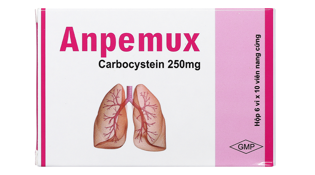 Thuốc Anpemux 250mg trị rối loạn tiết dịch hô hấp - 12/2025 ...
