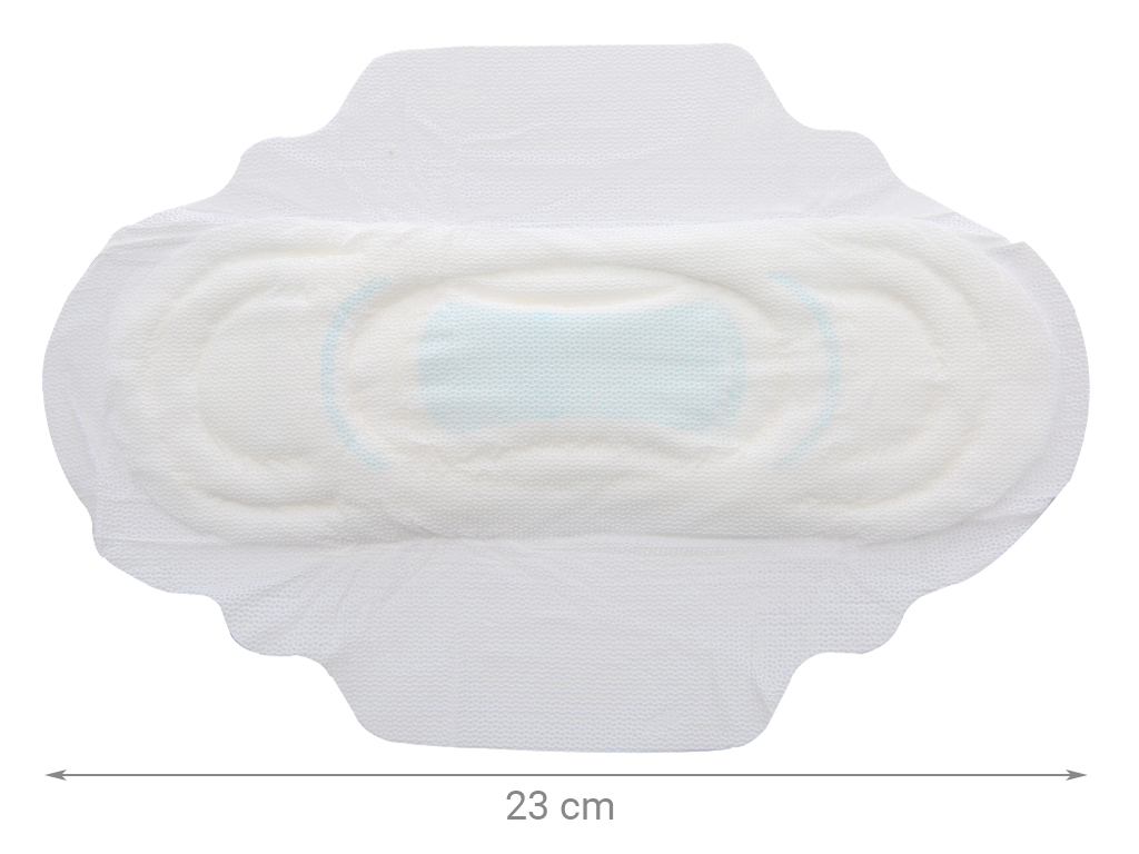 Băng vệ sinh Whisper Wings siêu thấm gói 10 miếng - 05/2026 ...
